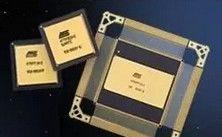 5 most expensive chips in the world, which is worth the value of a house